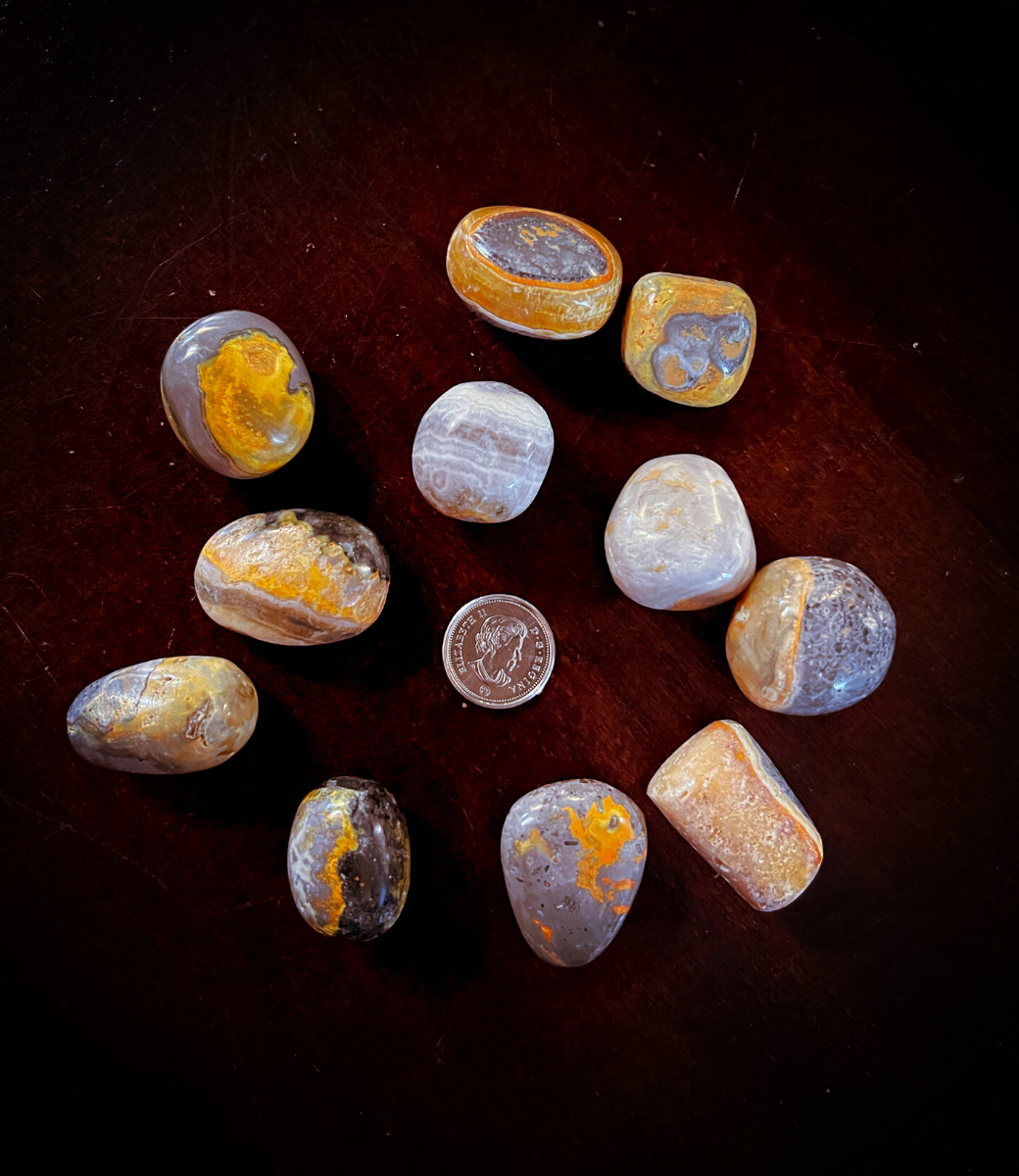 Bumblebee Jasper - medium - Smudge Metaphysical