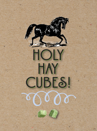 Horse Hollow Press Horse Hollow Birthday Card Holy Hay Cubes - Beyond ...