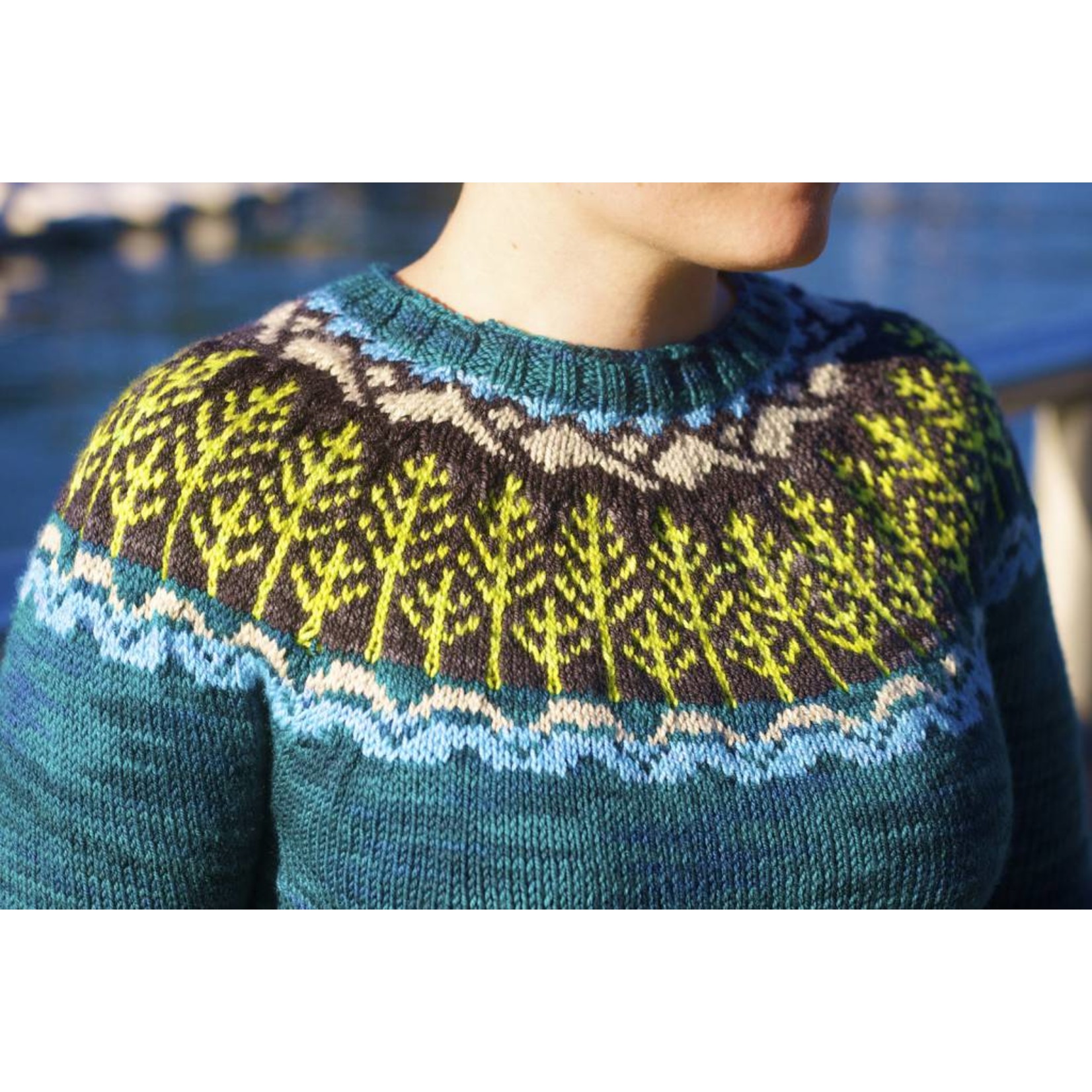 Tin Can Knits: Pacific Knits - Baaad Anna's Yarn Store