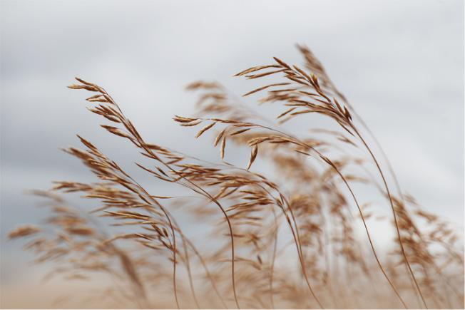 Shop framed photography by Karen Thom: "And Then I Met You" at The Pic ...