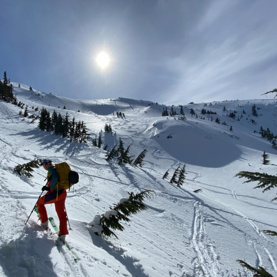 Understanding Ski Widths: Finding the Right Ski for Powder, Groomers ...