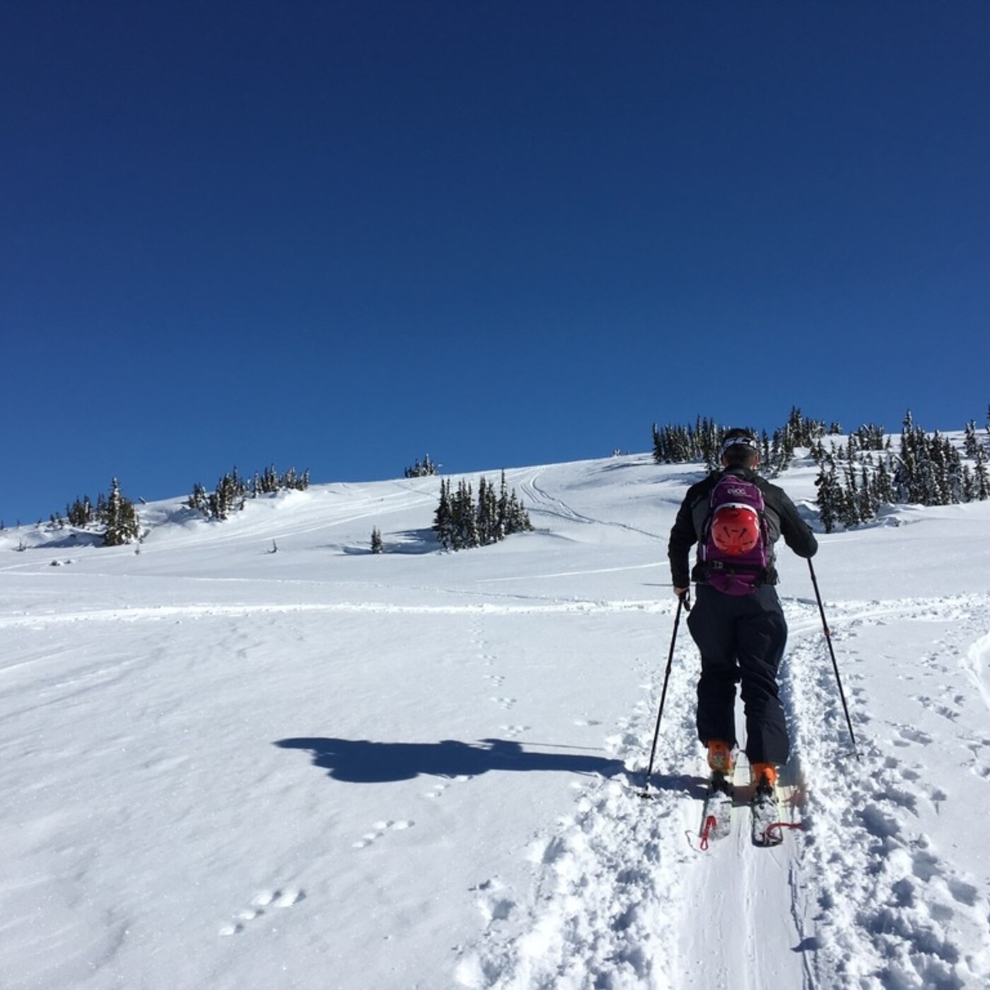 On-Piste vs All-Mountain Skiing: What’s the Difference? - Westside Ski ...