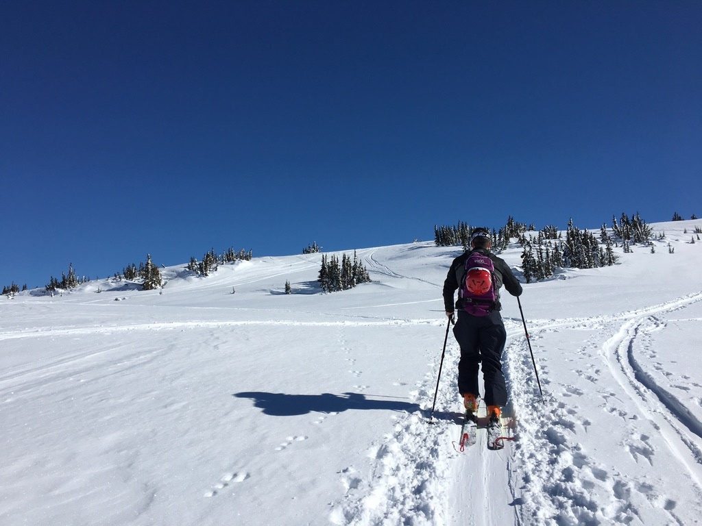 How Backcountry Skiing Works: From Skinning Up to Skiing Down ...