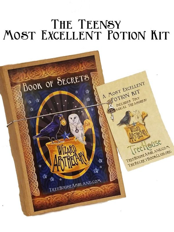 DIY Wizard Kits & Supplies - Tree House Books