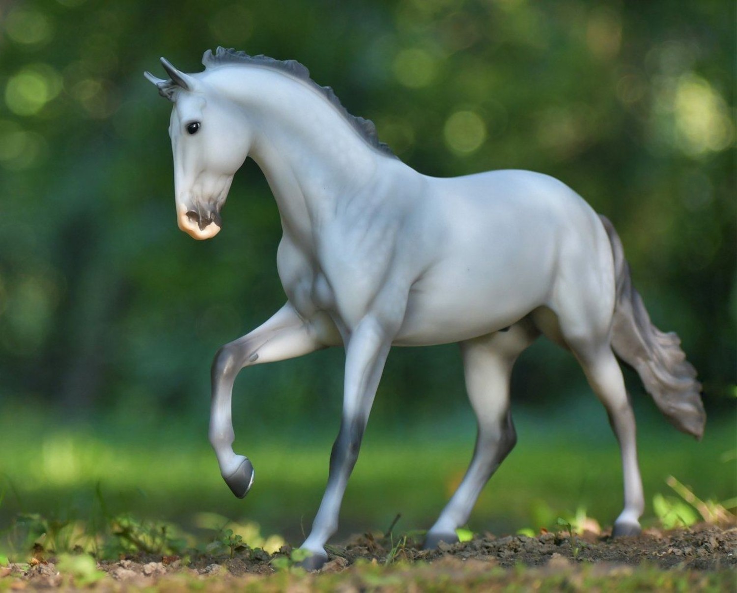 White Holsteiner Horse