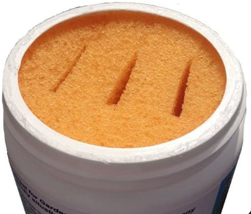 Scissor Magic - Valley Indoor