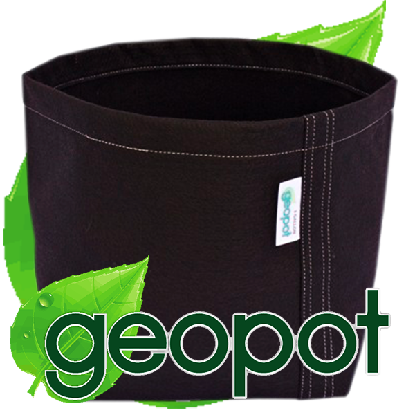 GeoPot - Valley Indoor