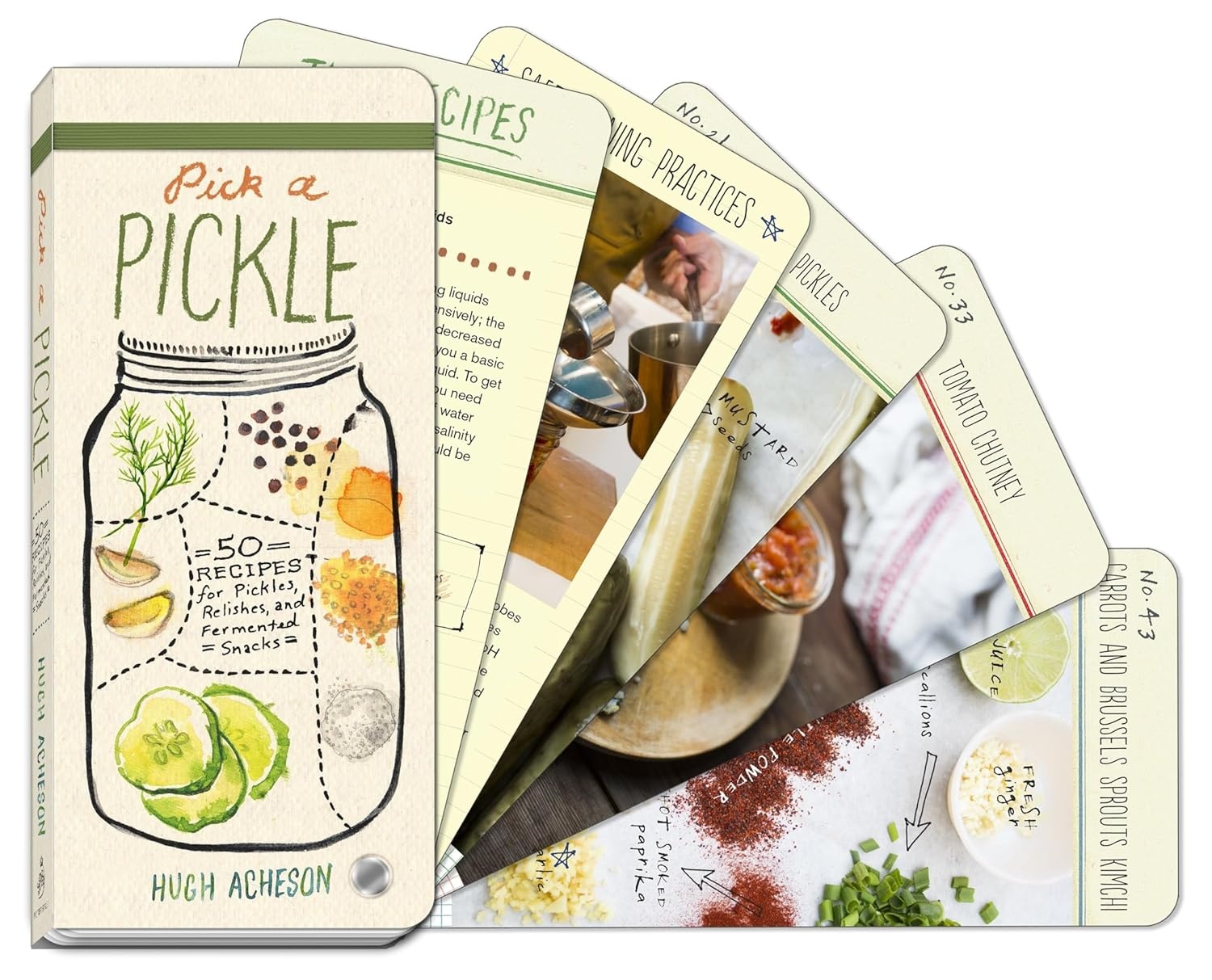 Pick a Pickle : 50 Recipes for Pickles, Relishes, and Fermented Snacks ...