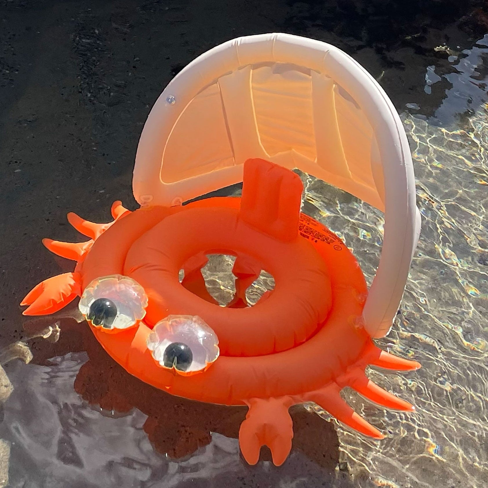 Sonny the Sea Creature Baby Float : SunnyLife - Exit9 Gift Emporium
