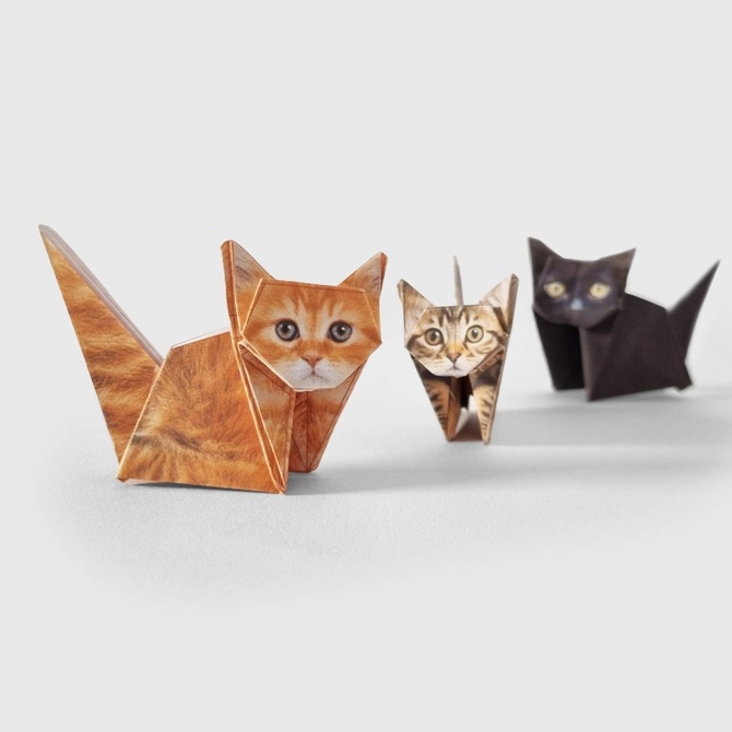 Paper Cats Origami : Make 50 Origami Cats - Exit9 Gift Emporium