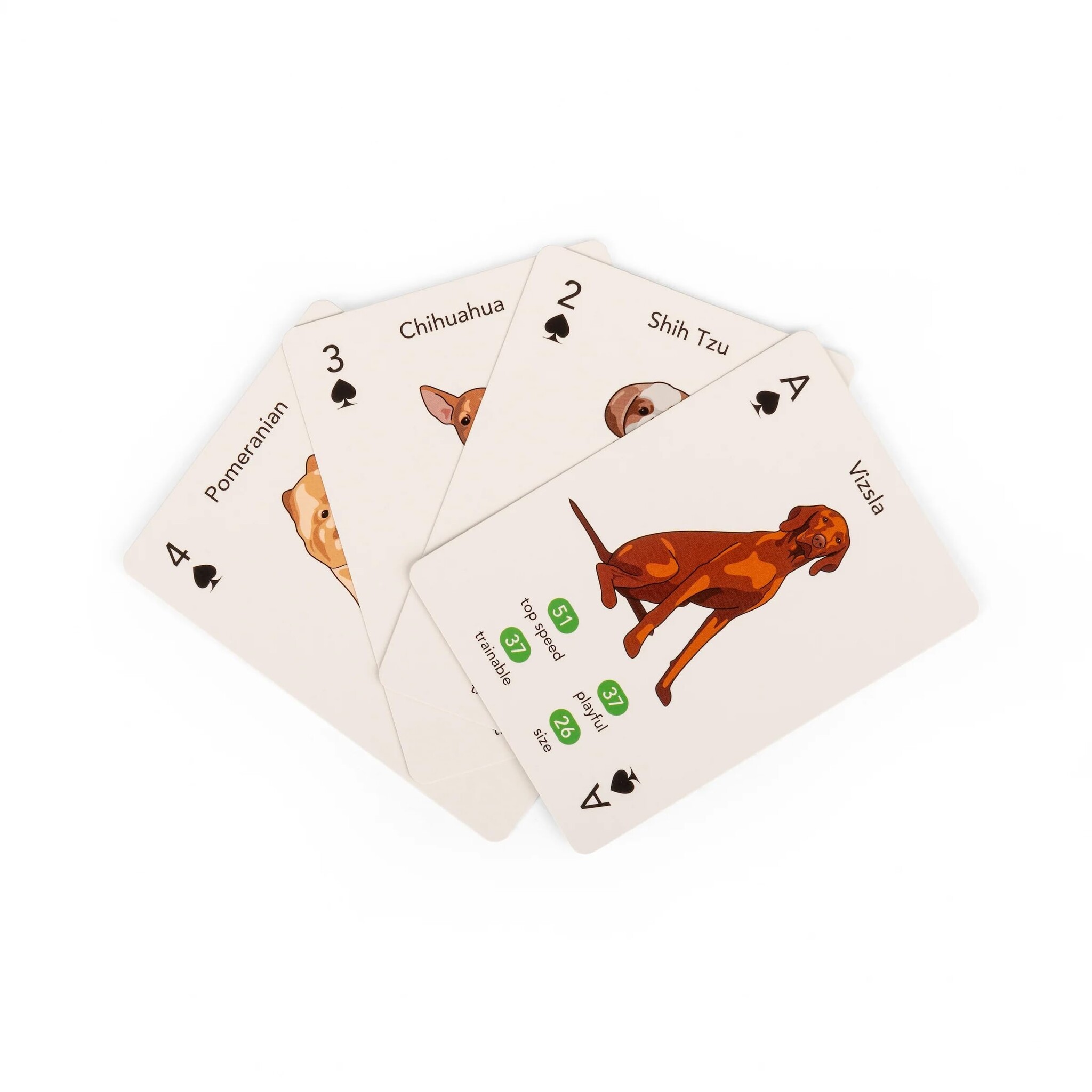 Paws & Play Playing Cards | Exit9 Gift Emporium - Exit9 Gift Emporium