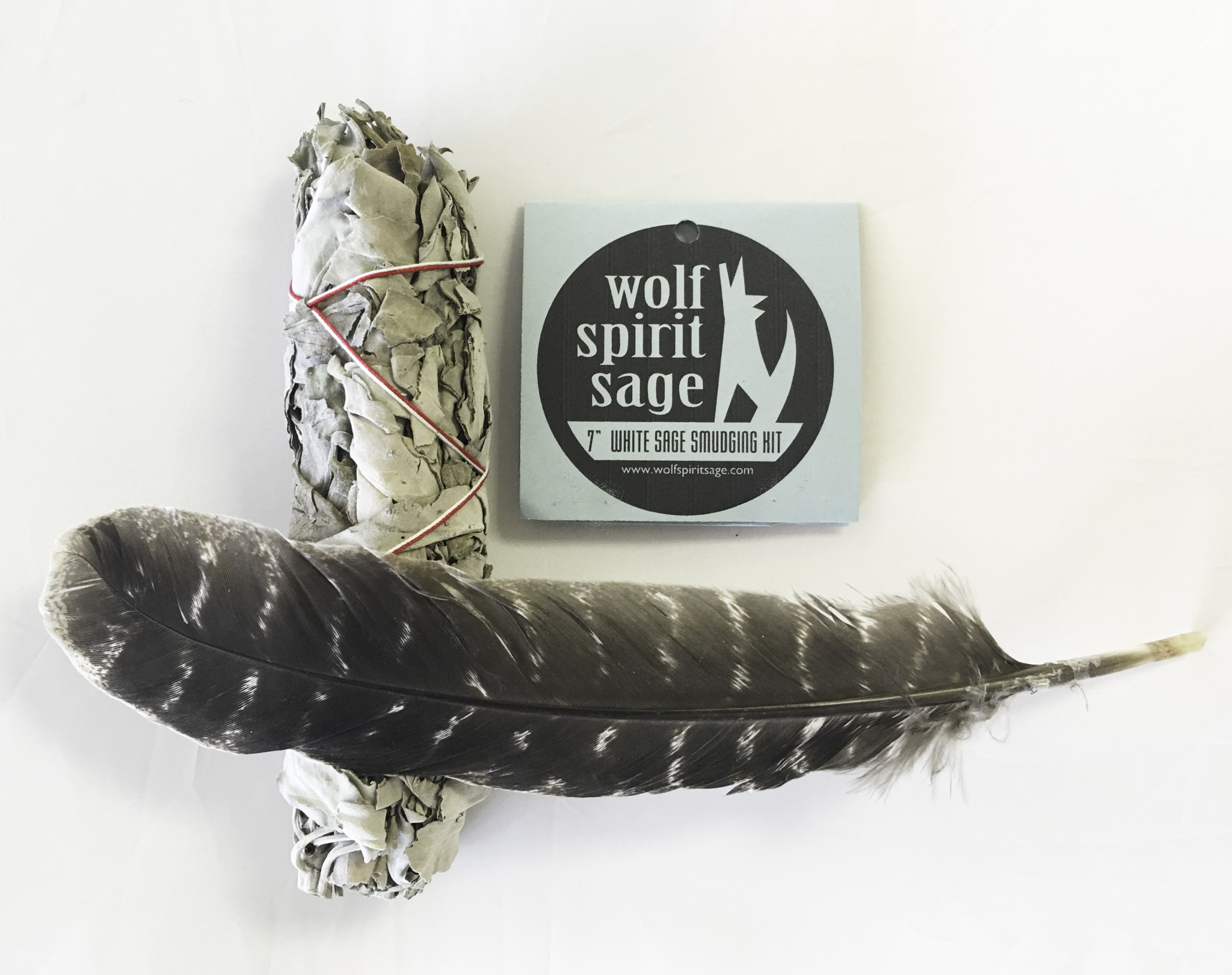 7 inch White Sage with Feather - 6579FE7 - The Open Mind Store