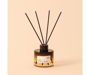 DIFF - Diffuseur à roseaux Phresh - Les Précieuses