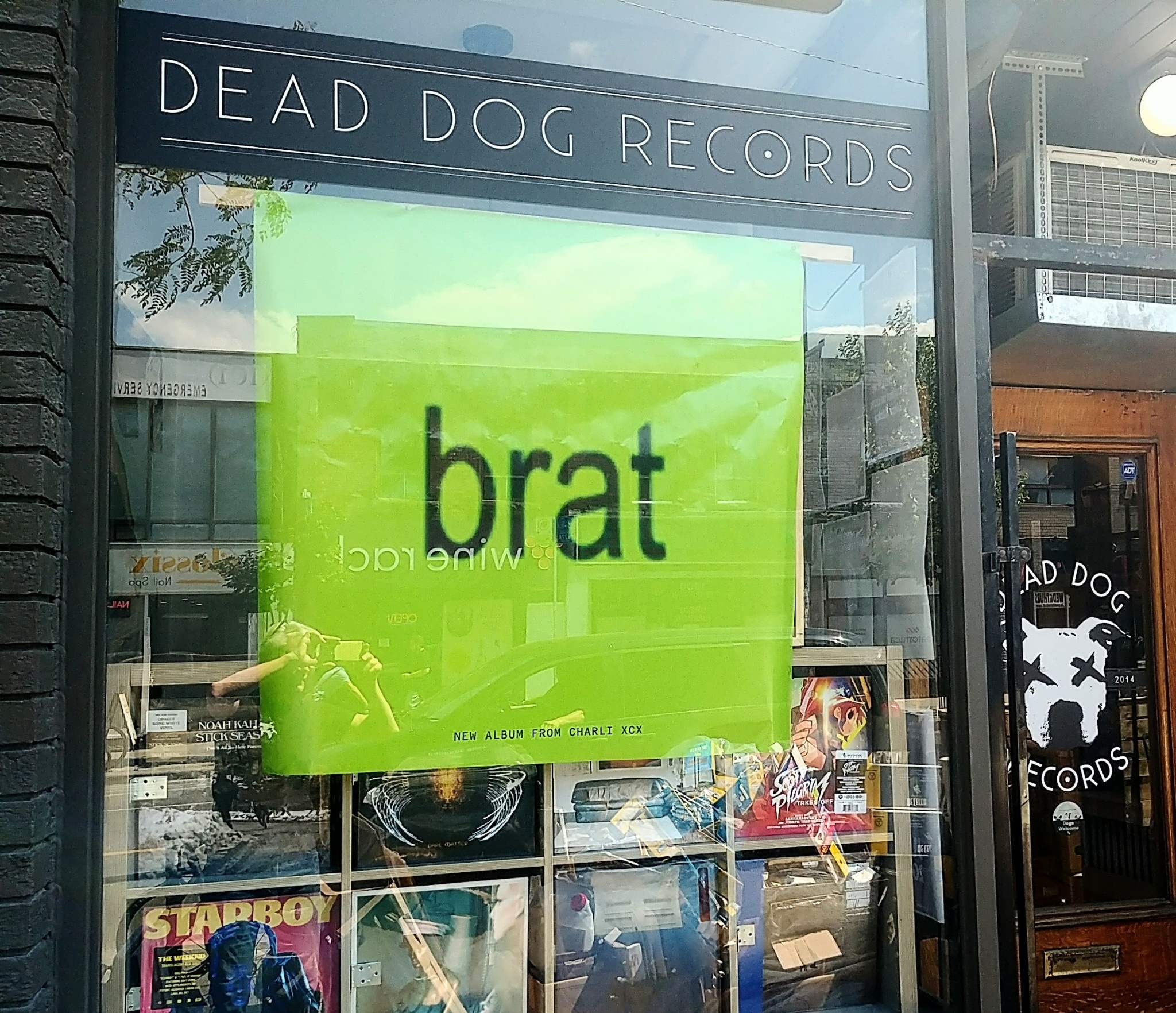 Dead Dog Records Charli XCX 4 x 4 Window Banner (Warner) - Dead Dog Records
