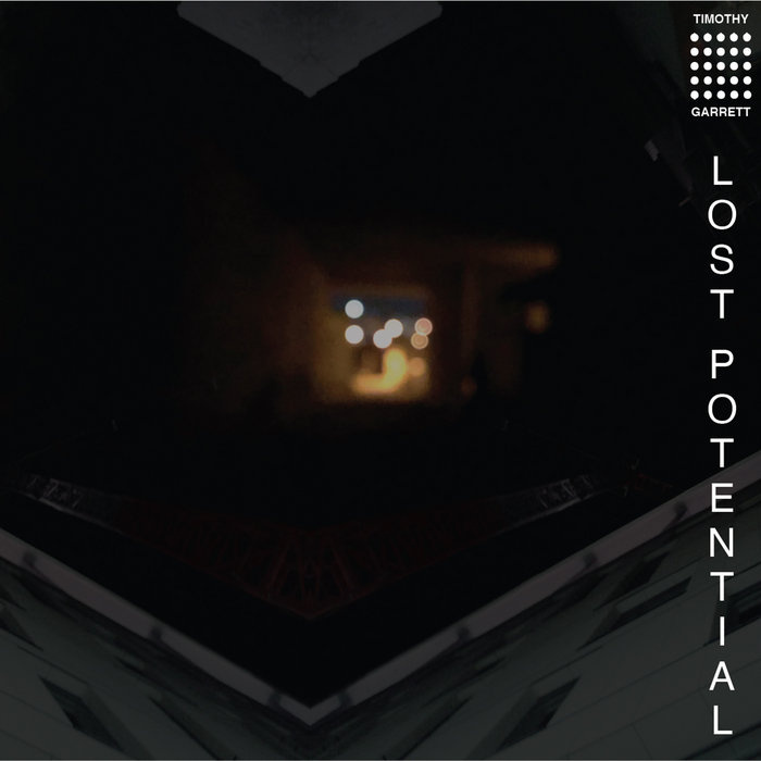 (CS) Timothy Garrett - Lost Potential - Dead Dog Records