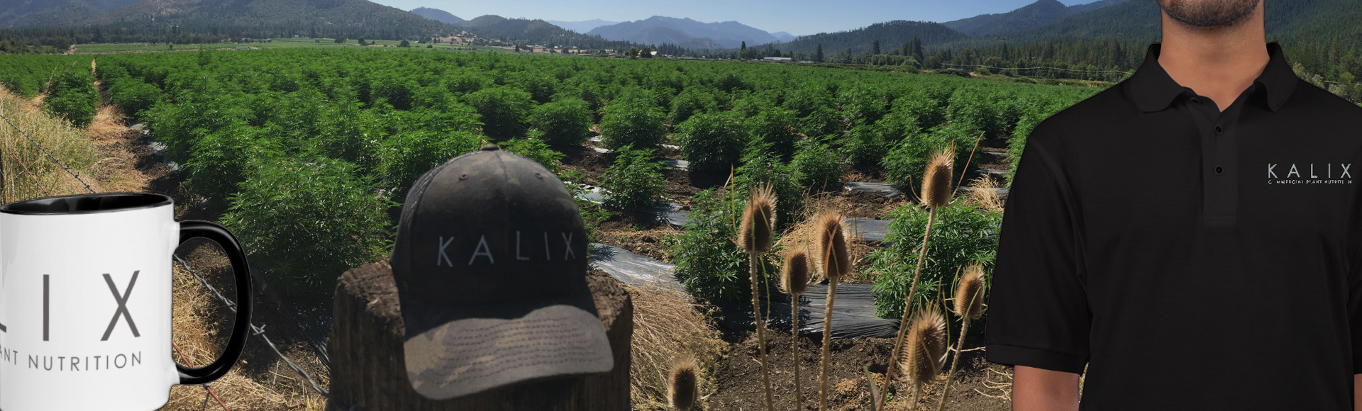 KALIX - COMMERCIAL PLANT NUTRITION