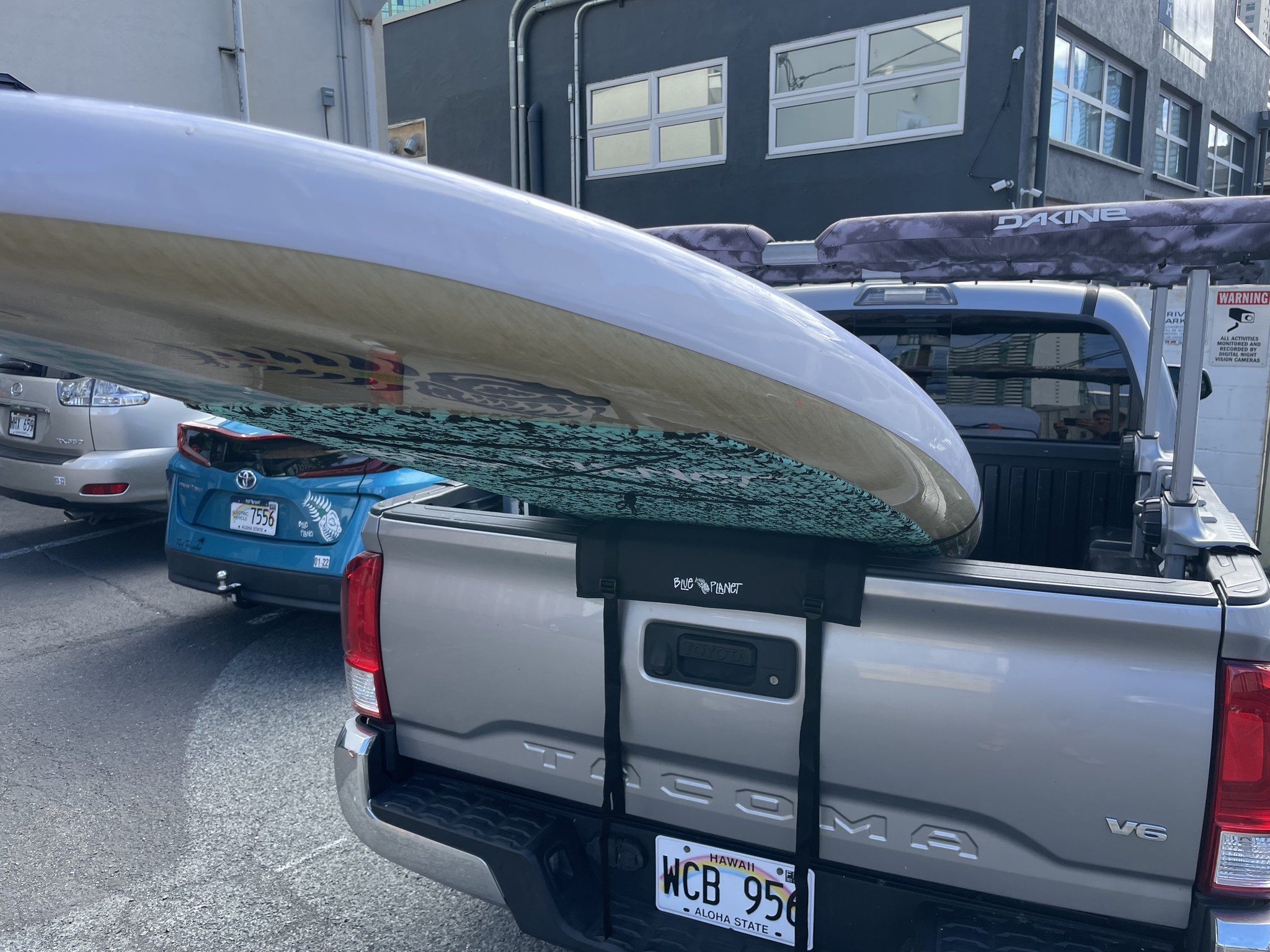 Blue Planet Tailgate Surf Pad