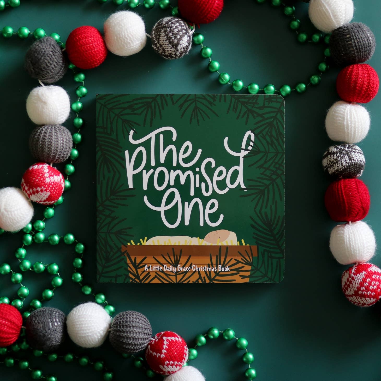 The Promised One - Board Book - Prestonwood Bookstore