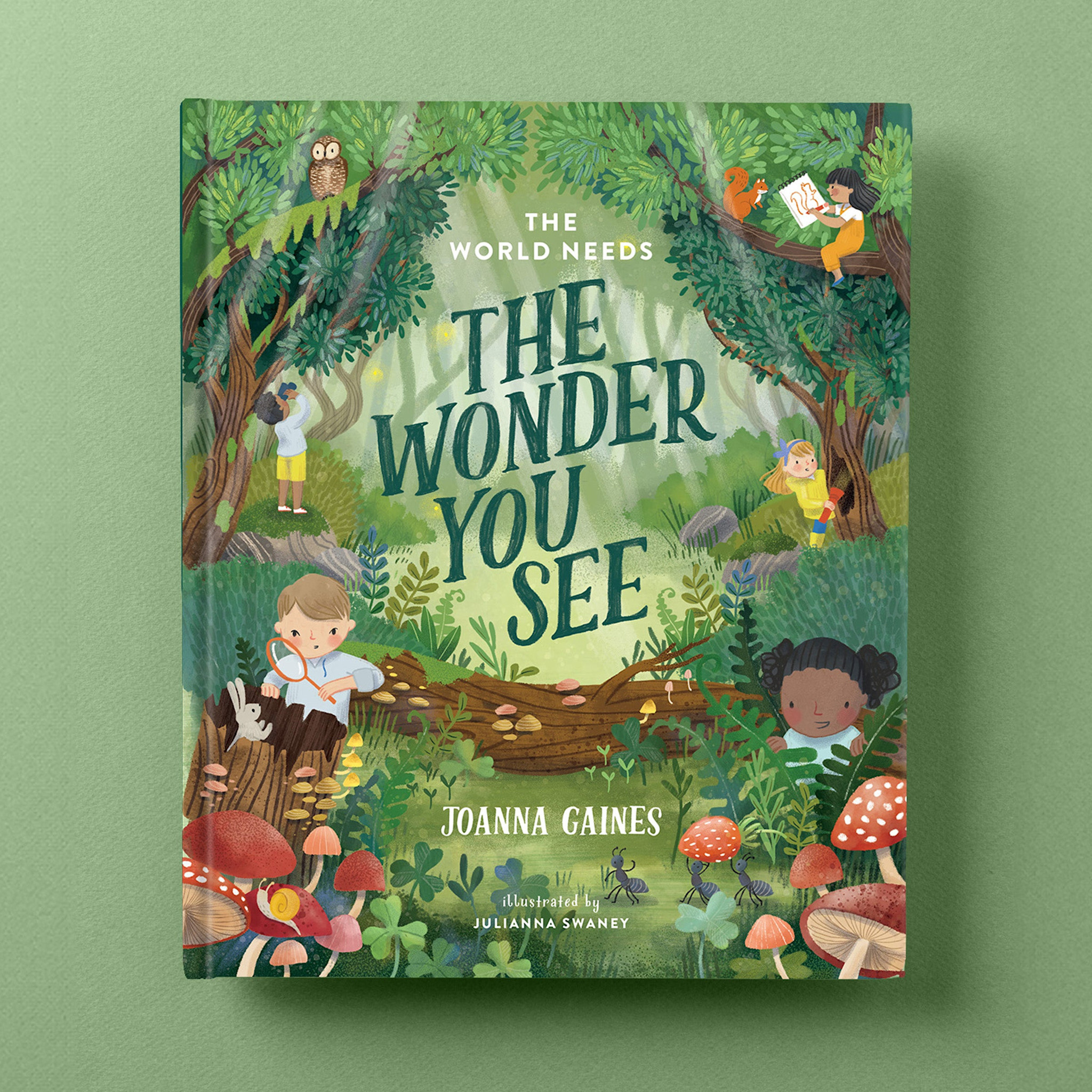 The World Needs the Wonder You See - Prestonwood Bookstore