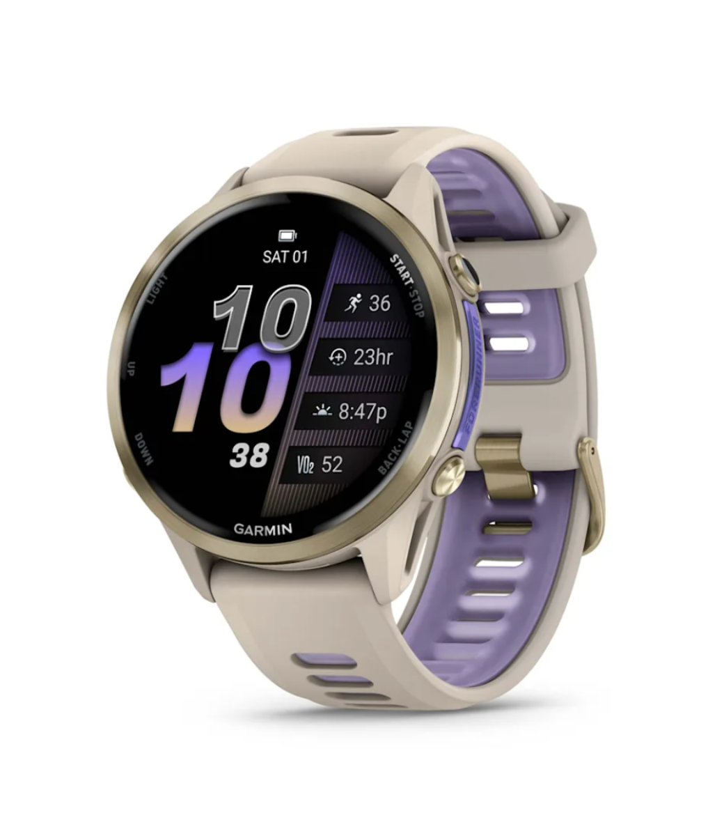 Garmin Forerunner® 970 Soft Gold Titanium with French Gray Case and French Gray/Translucent ...
