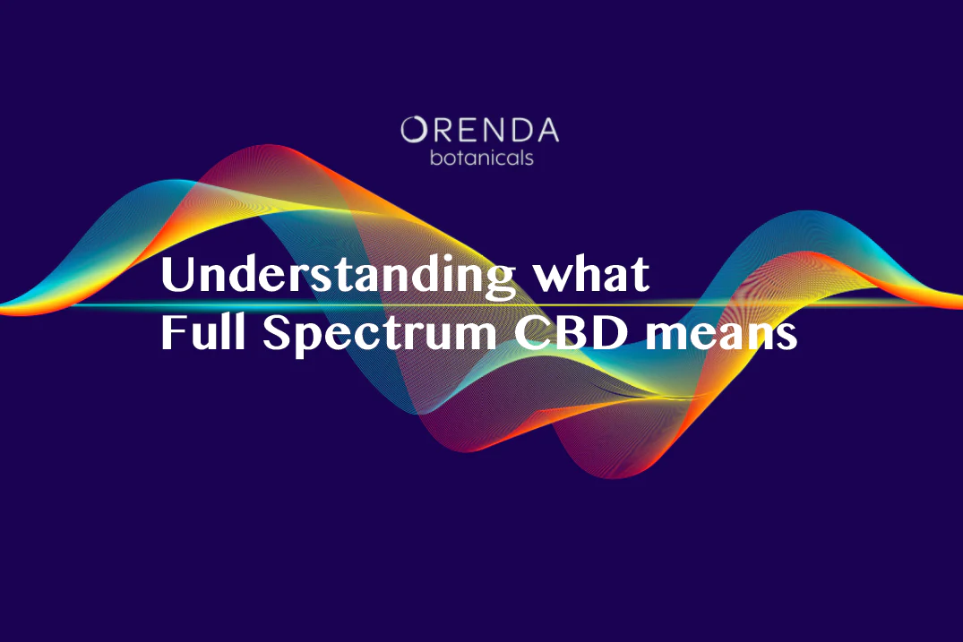 Understanding what Full Spectrum CBD means - Stepping Stone Holistic Living