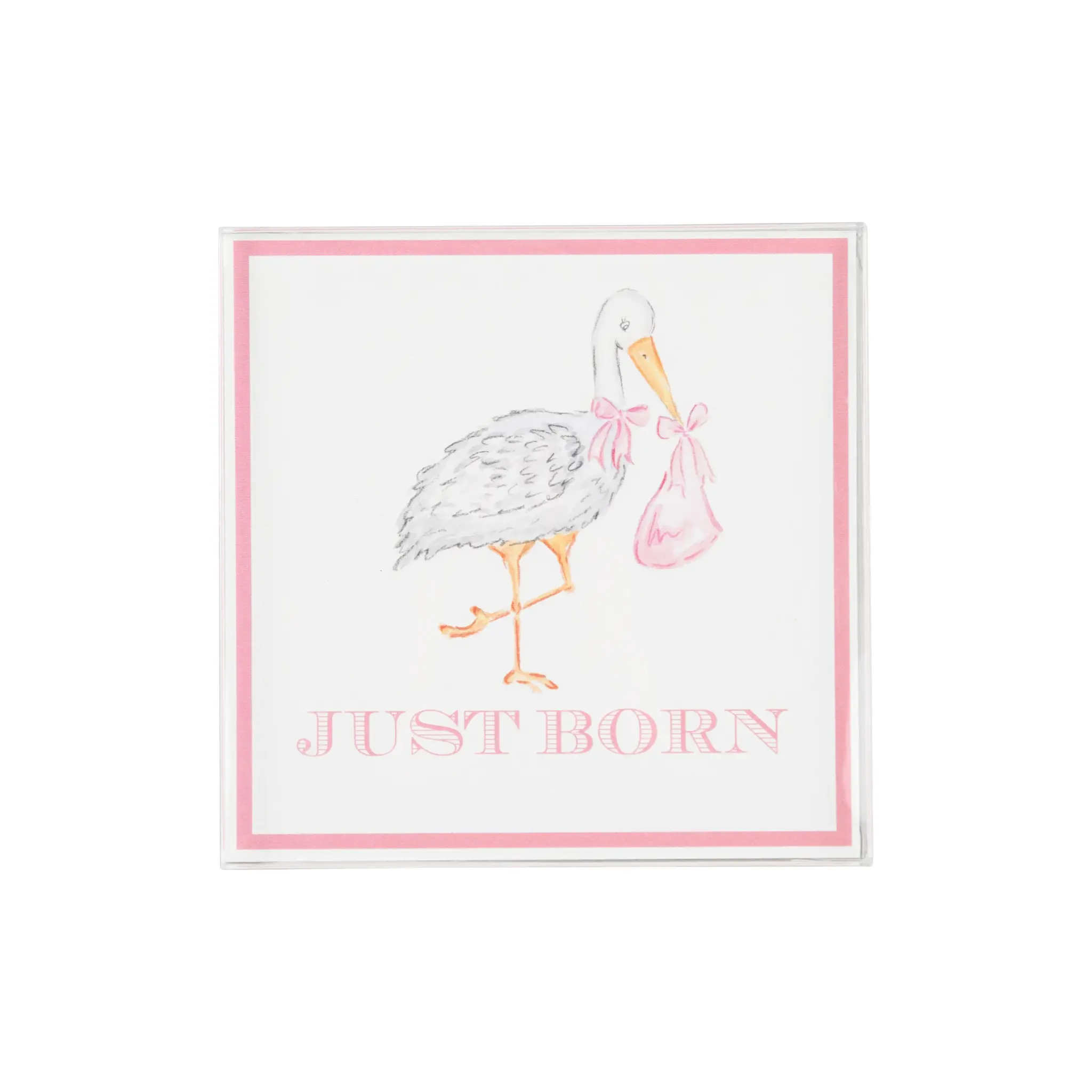 Palm Beach Pink Sir Proper's Month Markers - Polliwogs Children's Boutique