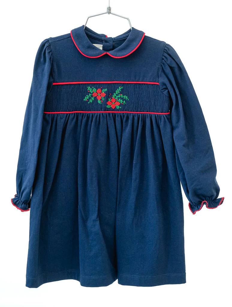 Poinsettia & Blue Velvet Libby Knit Dress - Polliwogs Children's Boutique
