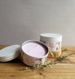 Succulent Garden - Honeycomb & Co.