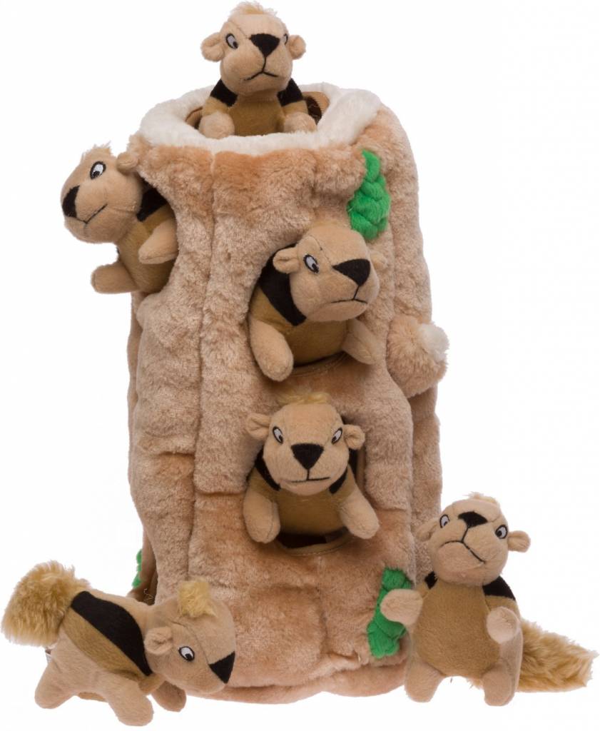 Outward Hound Hide a Squirrel Plush Puzzle Dog Toy Large The Pet Beastro