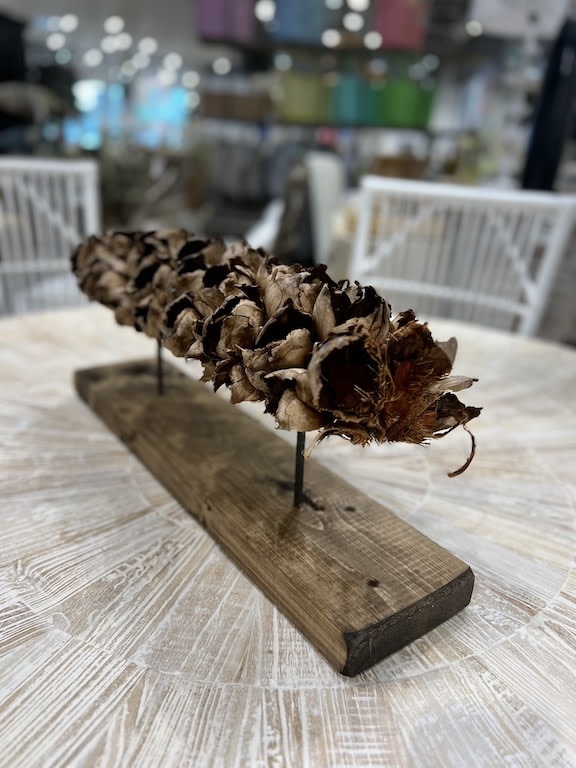 24" Natural Seed Pod With Solid Wood Base - Outside the Box Palm Beach
