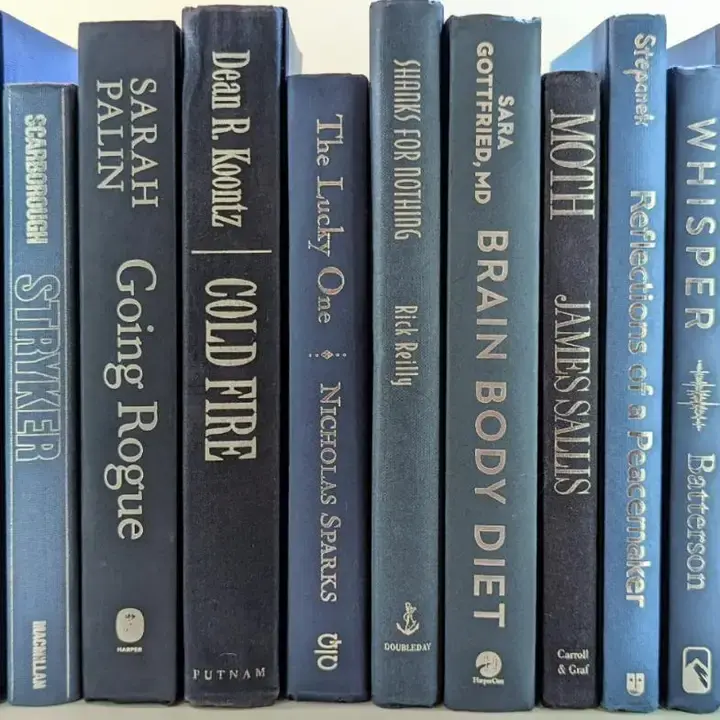 Blue Hardcover Book W/ Silver Titles Decor - Outside the Box Palm Beach