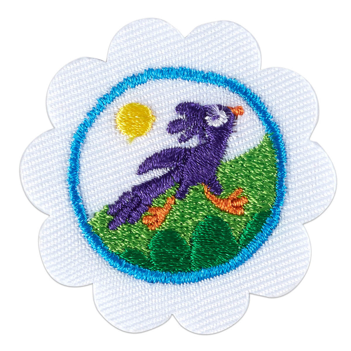 Daisy Trail Adventure Badge - Girl Scouts of Silver Sage Council Online ...