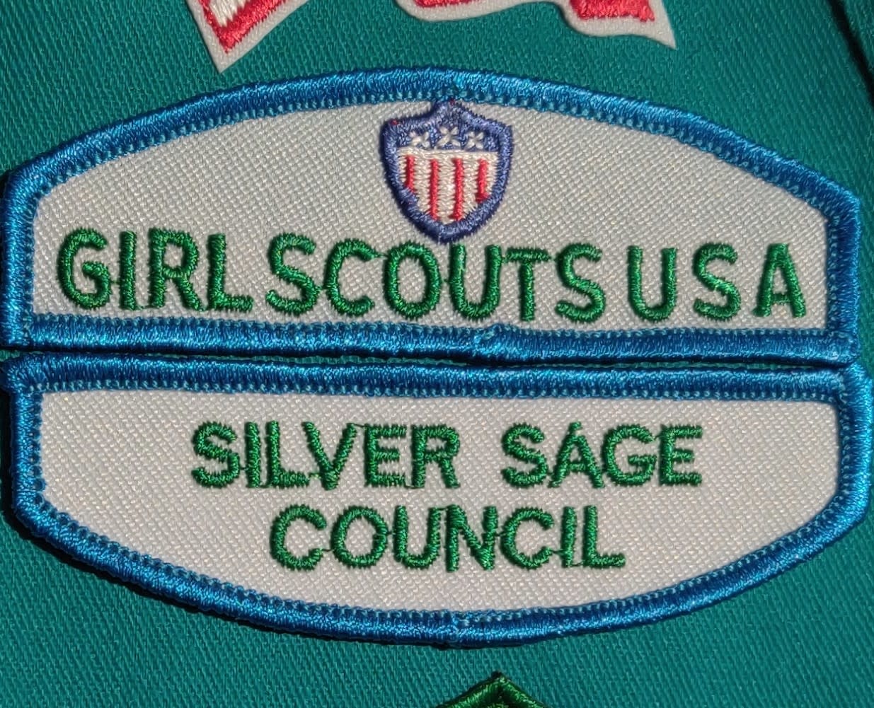 JR/CDT/SR/AMB Council ID Set - Girl Scouts of Silver Sage Council ...