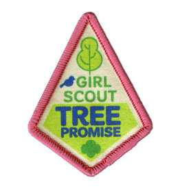 INSIGNIA, BADGES AND AWARDS - Girl Scouts of Silver Sage Council Online ...