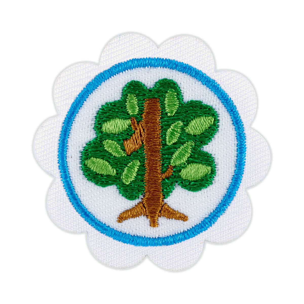 Daisy Shapes In Nature Badge - Girl Scouts of Silver Sage Council ...
