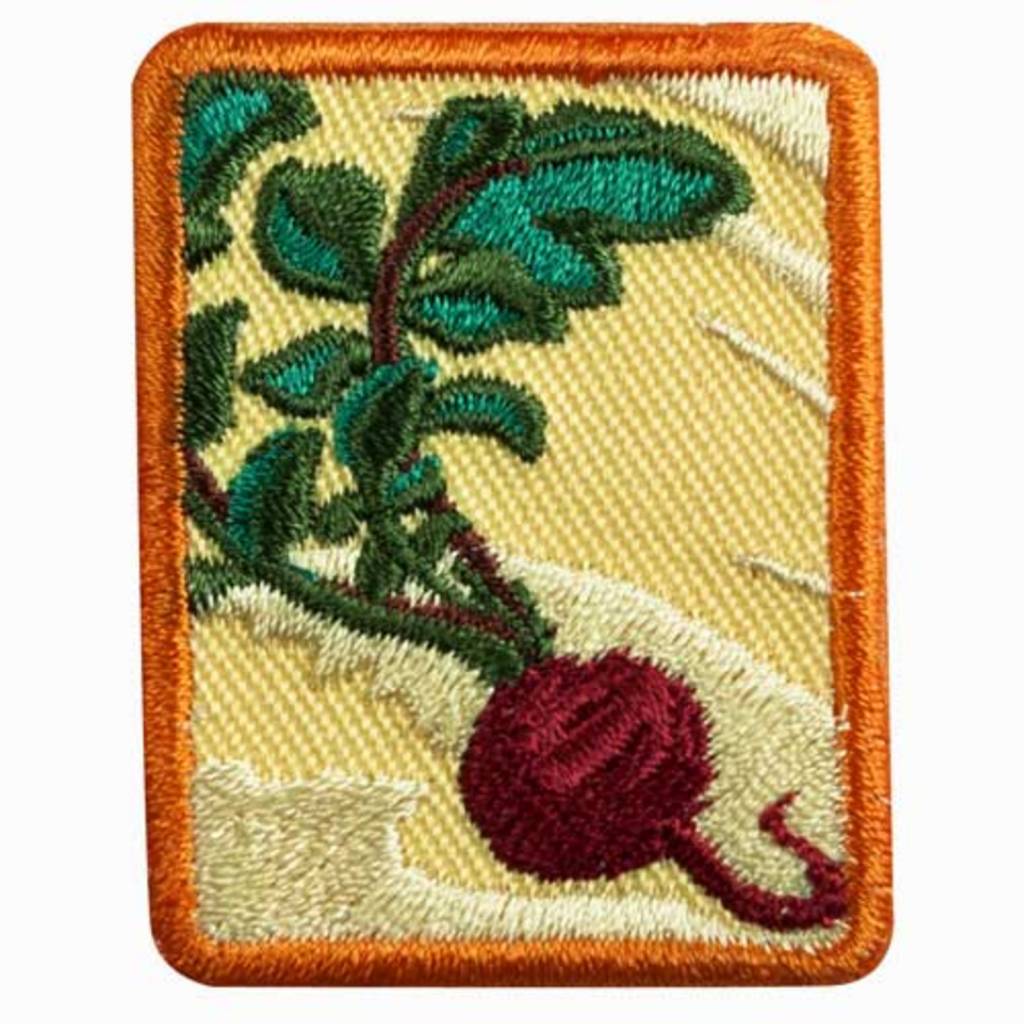 Senior Locavore Badge - Girl Scouts of Silver Sage Council Online Store