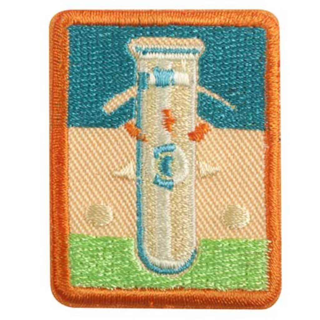 Senior Science of Style Badge - Girl Scouts of Silver Sage Council ...