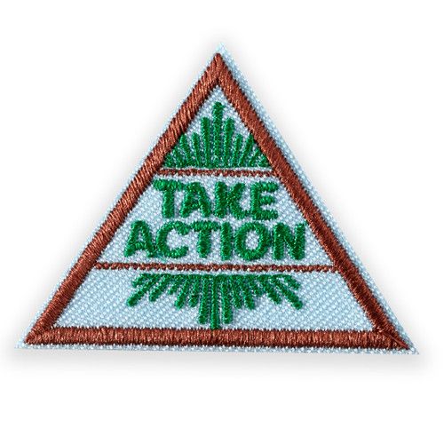 GIRL SCOUTS OF THE USA Brownie Take Action Award Badge - Girl Scouts of ...