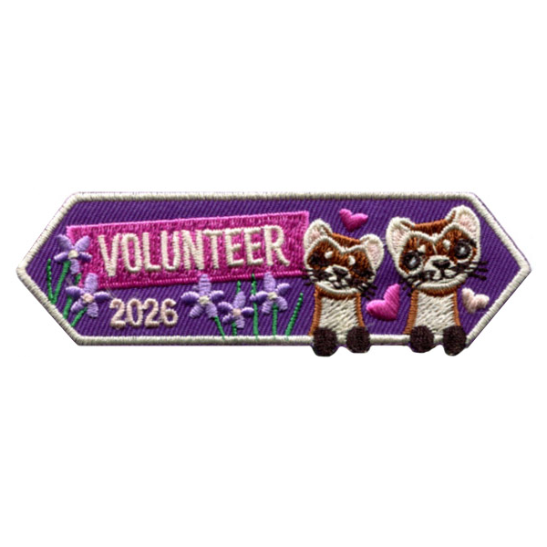 2026 Brave Fierce Fun Volunteer Patch - Girl Scouts of Silver Sage ...