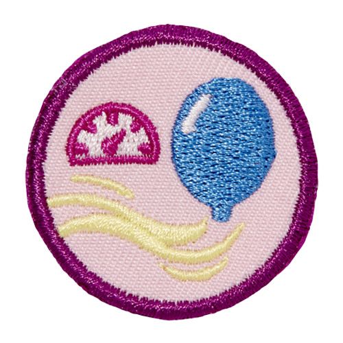 Junior Balloon Car Design Challenge Badge - Girl Scouts of Silver Sage ...