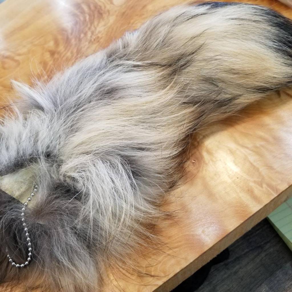 Full Tanuki Tail - The Portland Fly Shop