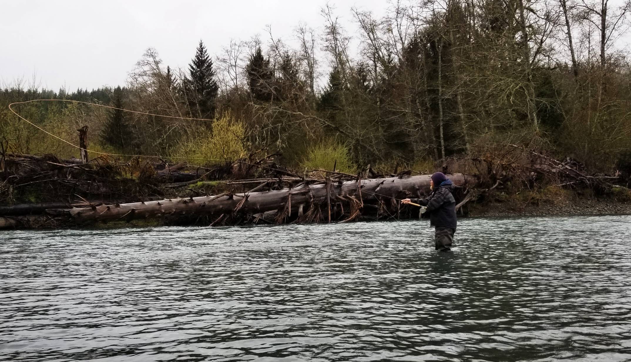 The Portland Fly Shop - The Portland Fly Shop