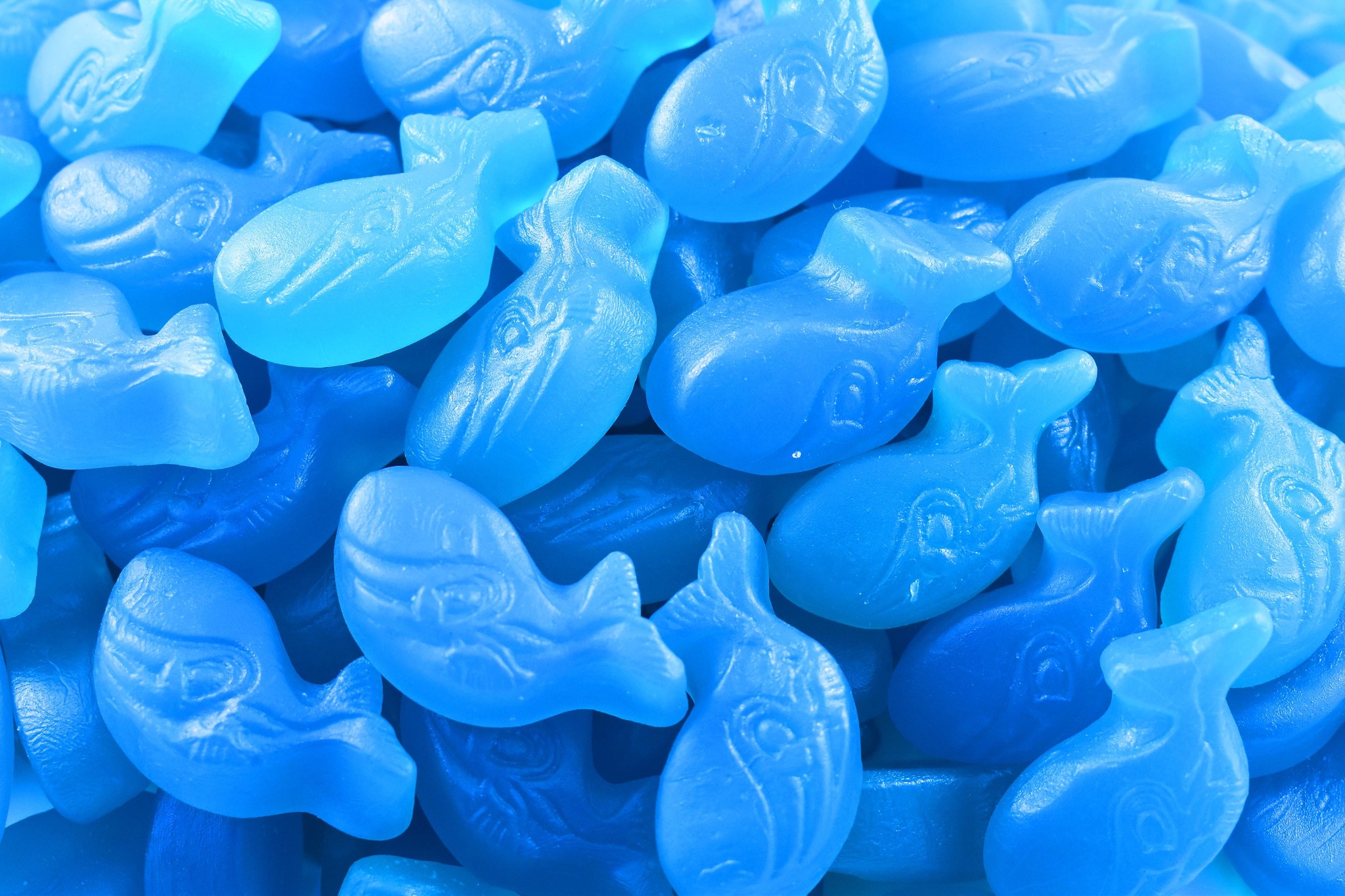 Bonbons Noix Et Cie | Blue Whales - Nick & Joe Candy Shop