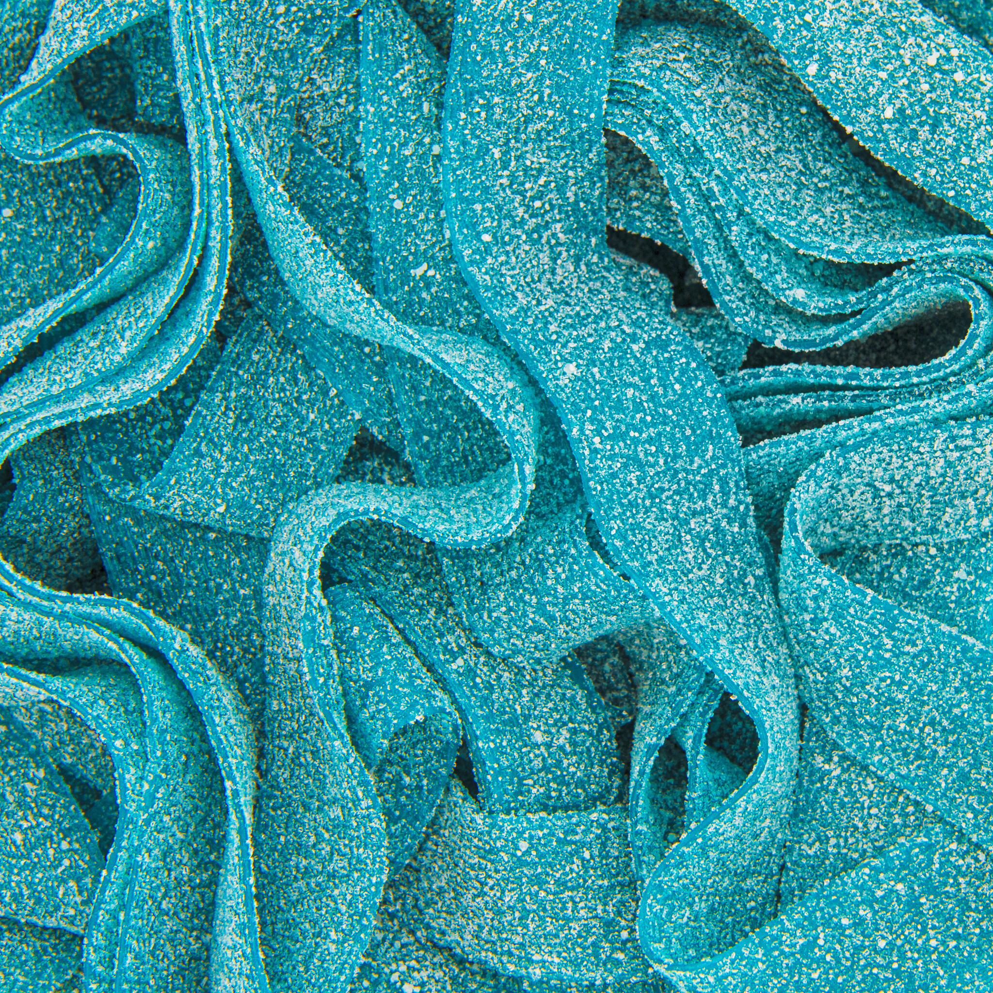 Nick & Joe Candy Shop | Sour blue raspberry belts - Nick & Joe Candy Shop