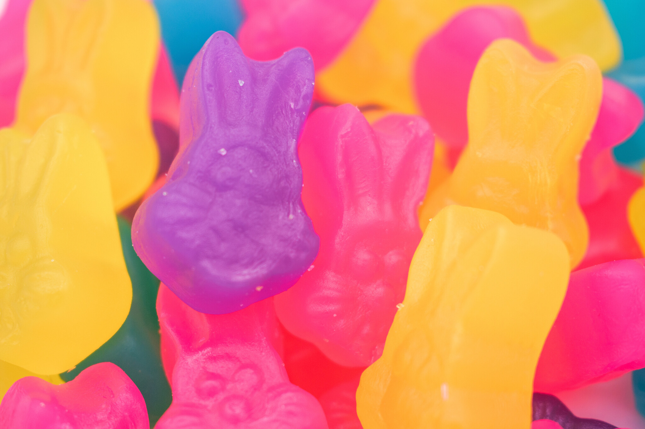 Easter Jube Rabbit - Nick & Joe Candy Shop