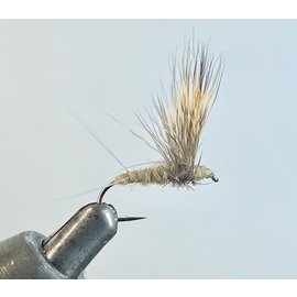 Early Season Hatches - Gates Au Sable Lodge