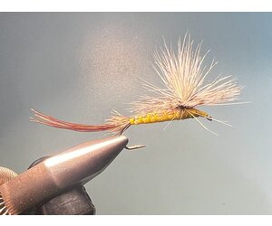 Robert's Yellow Drake Hex - Gates Au Sable Lodge