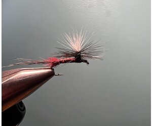 White Knot - Gates Au Sable Lodge