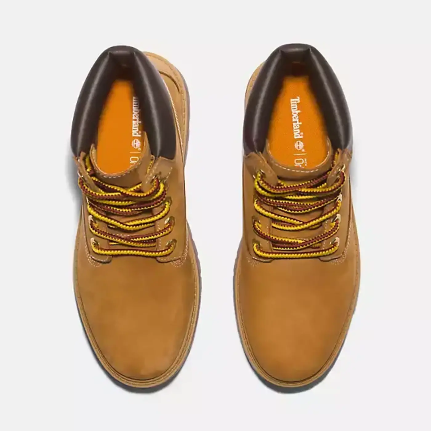 Timberland Femmes 6" Platform Wp TB0A5RJD231 - Magasin Schreter's