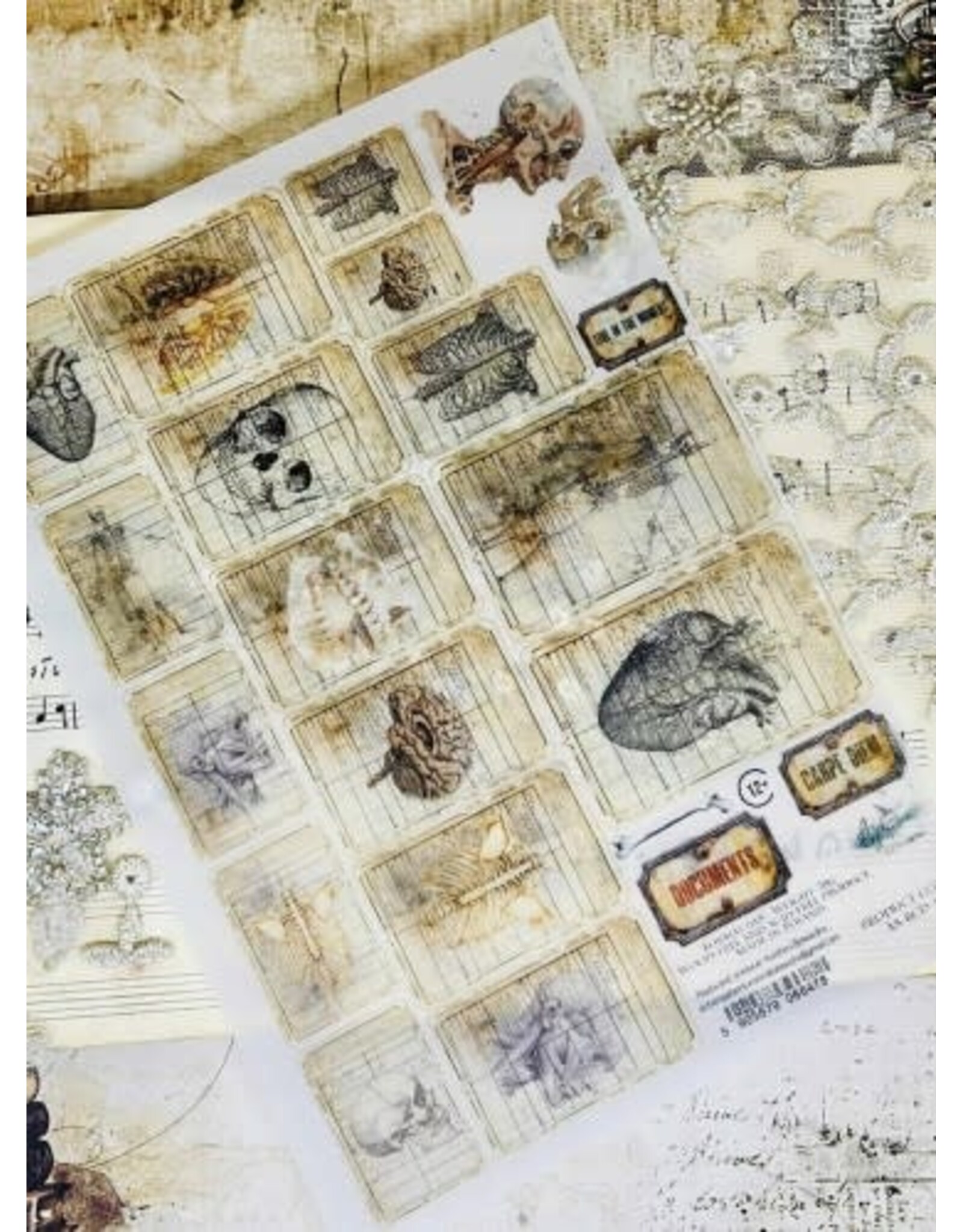 ALCHEMY OF ART ALCHEMY OF ART BEHIND CLOSED DOORS A5 TRACING PAPER ...